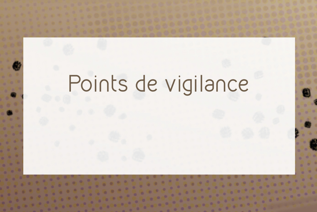 Points de vigilance - Femmes issues des immigrations face aux discriminations, aux violences ...